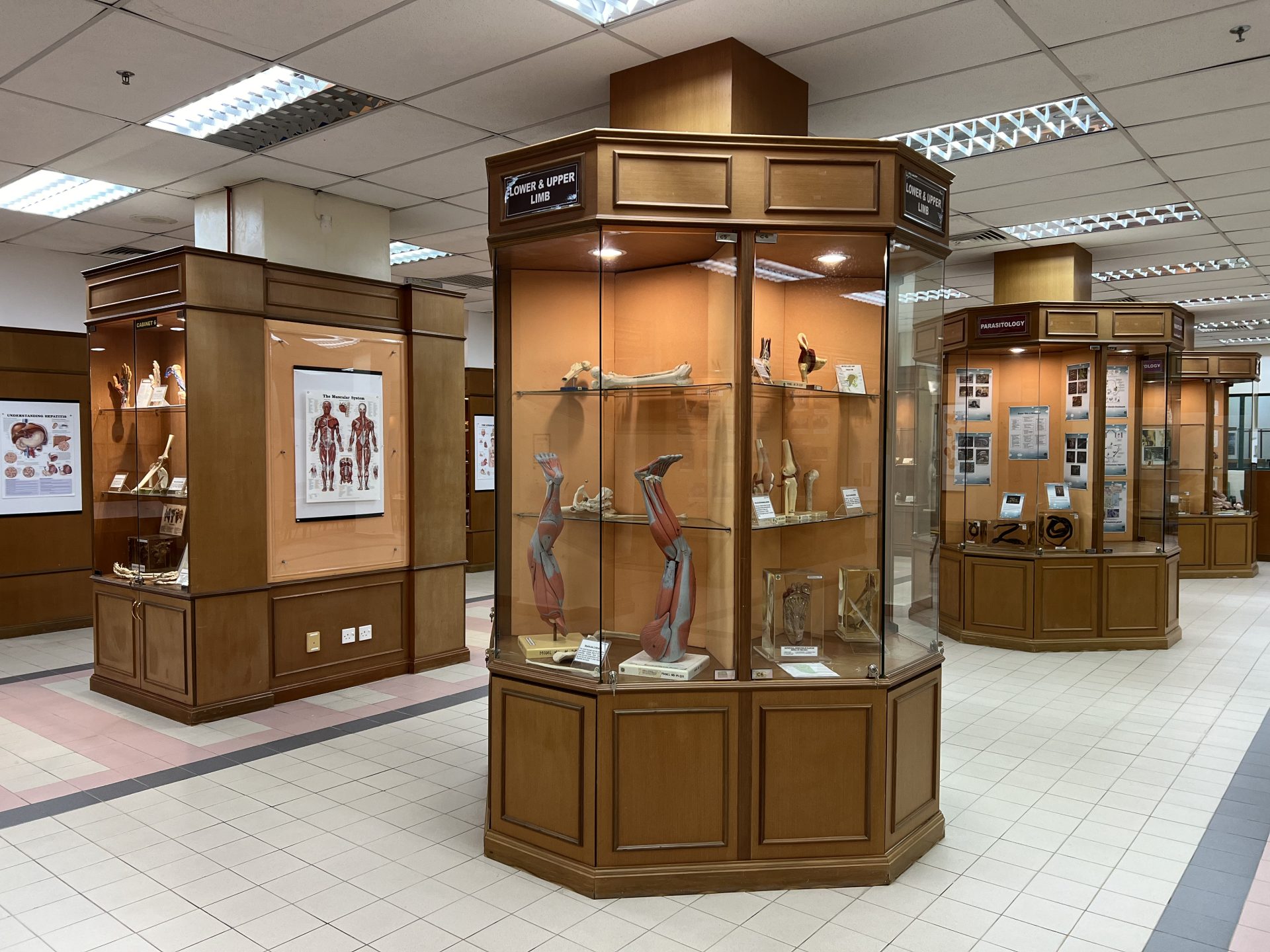 Medical Museum – Kulliyyah of Medicine