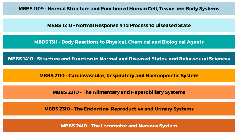 Department of Basic Medical Sciences – Kulliyyah of Medicine